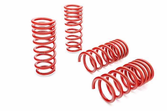 Dodge Charger Lowering Springs – Page 2 – FastHemis
